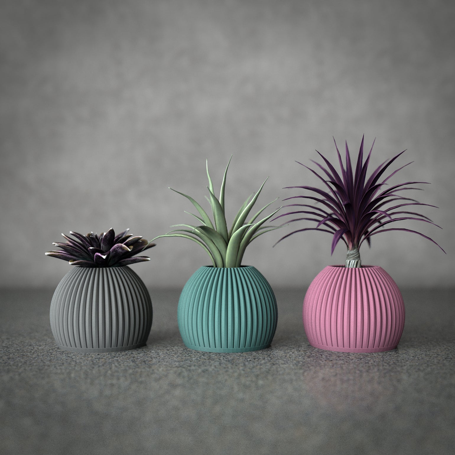Cactus Pod S | F.r.A.g.M.e.n.T Products
